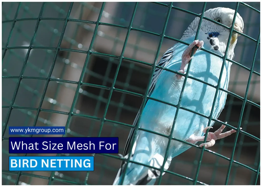 Bird mesh store